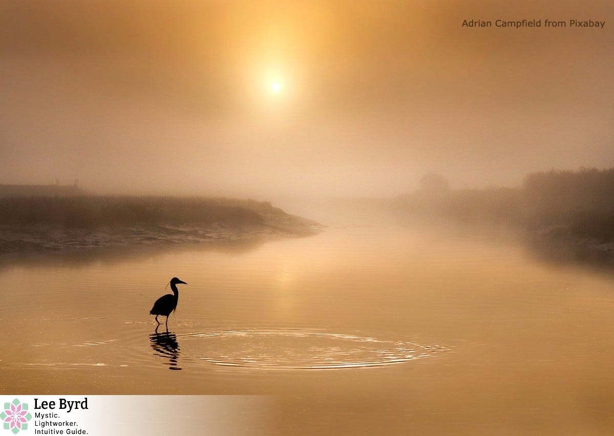 Your One Wild and Precious Life. Are you living your wildest dream ...