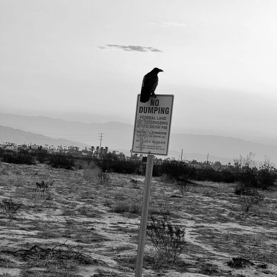 A Thank-You Letter to the Young Generation | by Mark Tulin | Crow’s ...