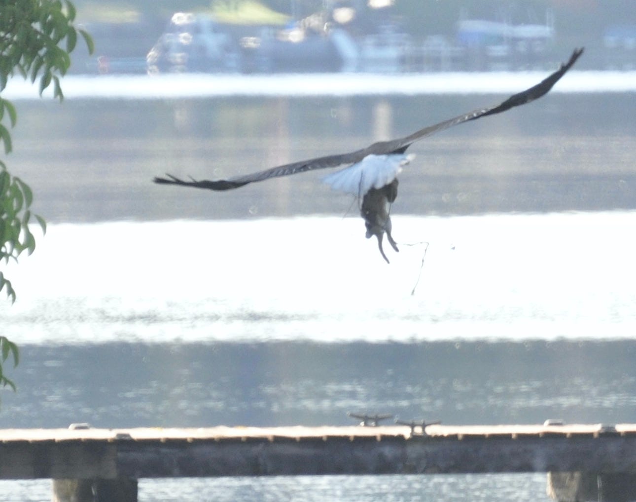 nit: typo - Clark Feusier - Medium