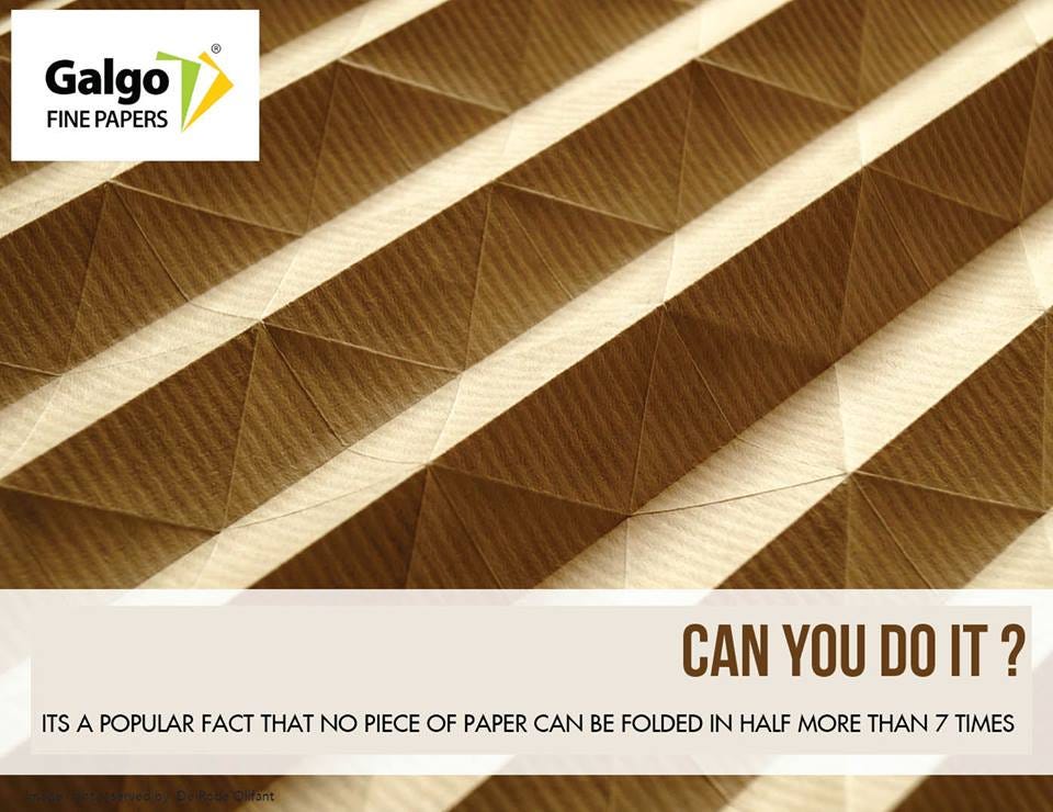 Paper Industry in India — Growth Drivers | by Galgo Fine Papers | Medium