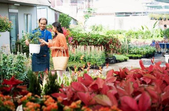 Benefits of Plants Nursery in Dubai - business trip land - Medium