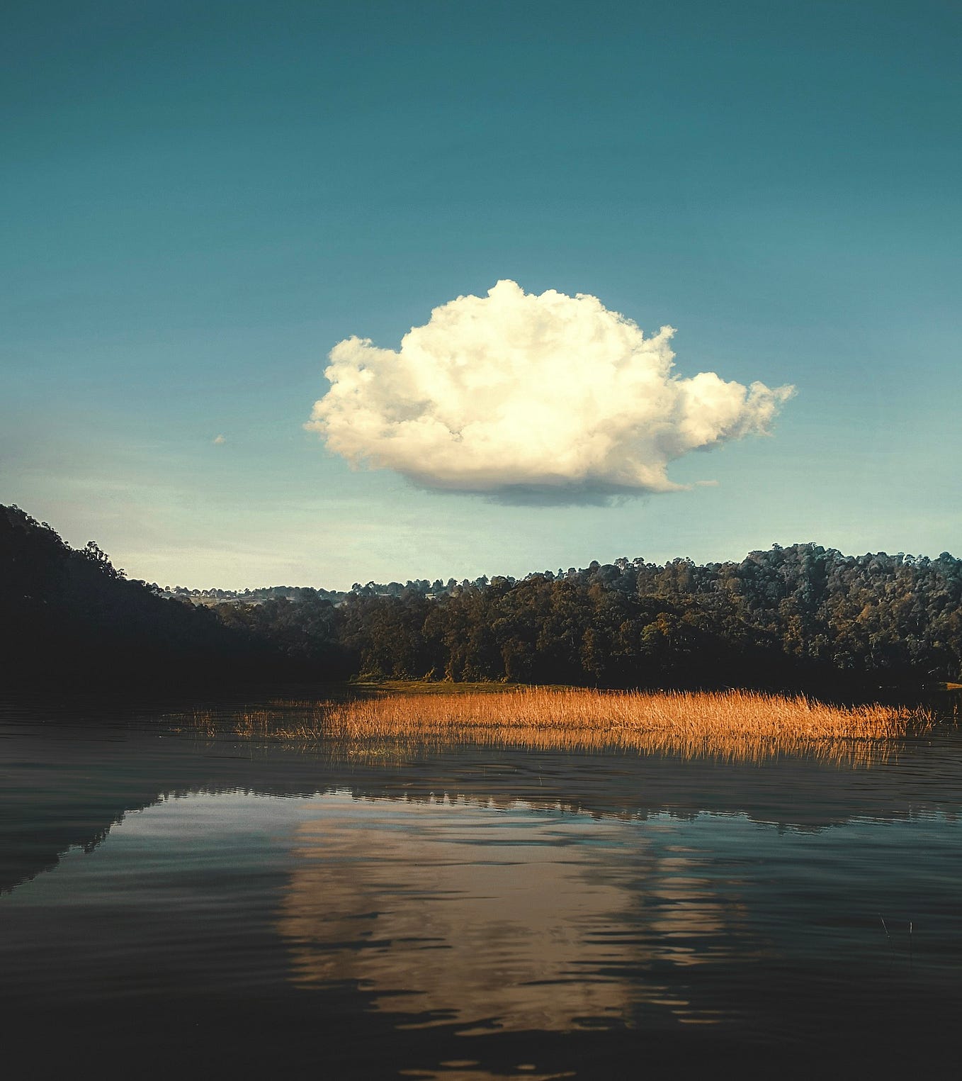 A Camel, A Lion and A Child: What Nietzsche Wants To Tell Us About The ...