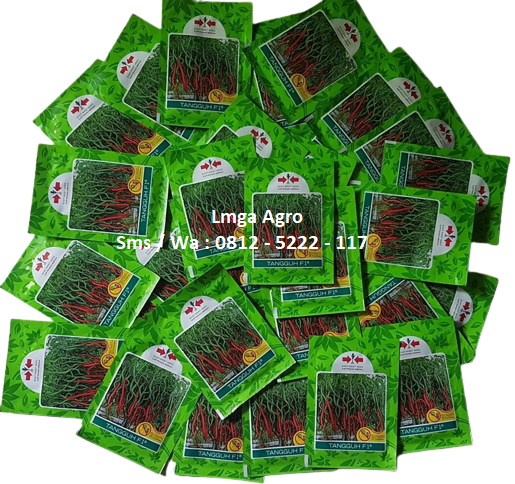 Bibit Cabe : Panduan Beli, Menanam dan Menghasilkan Cabai Berkualitas ...