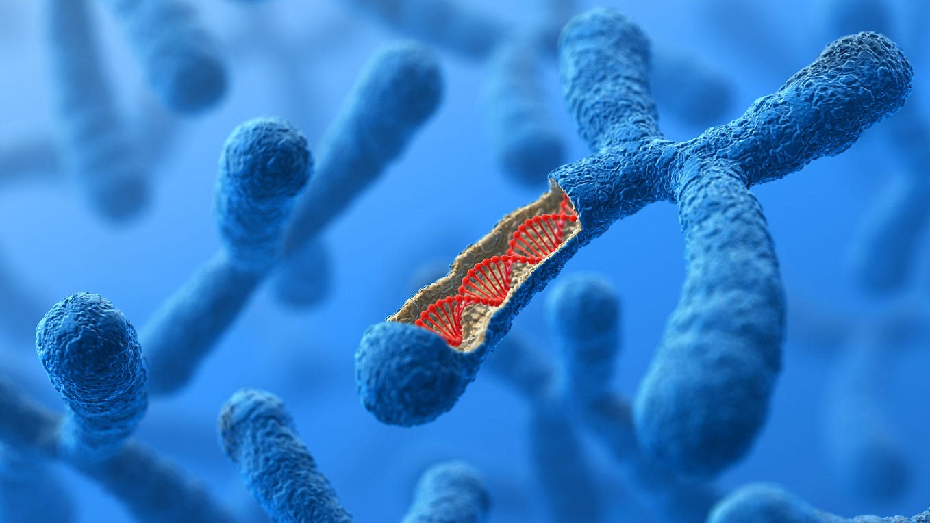 Getting Started With Kaggle Digit Recognizer Competition | by Soumik ...