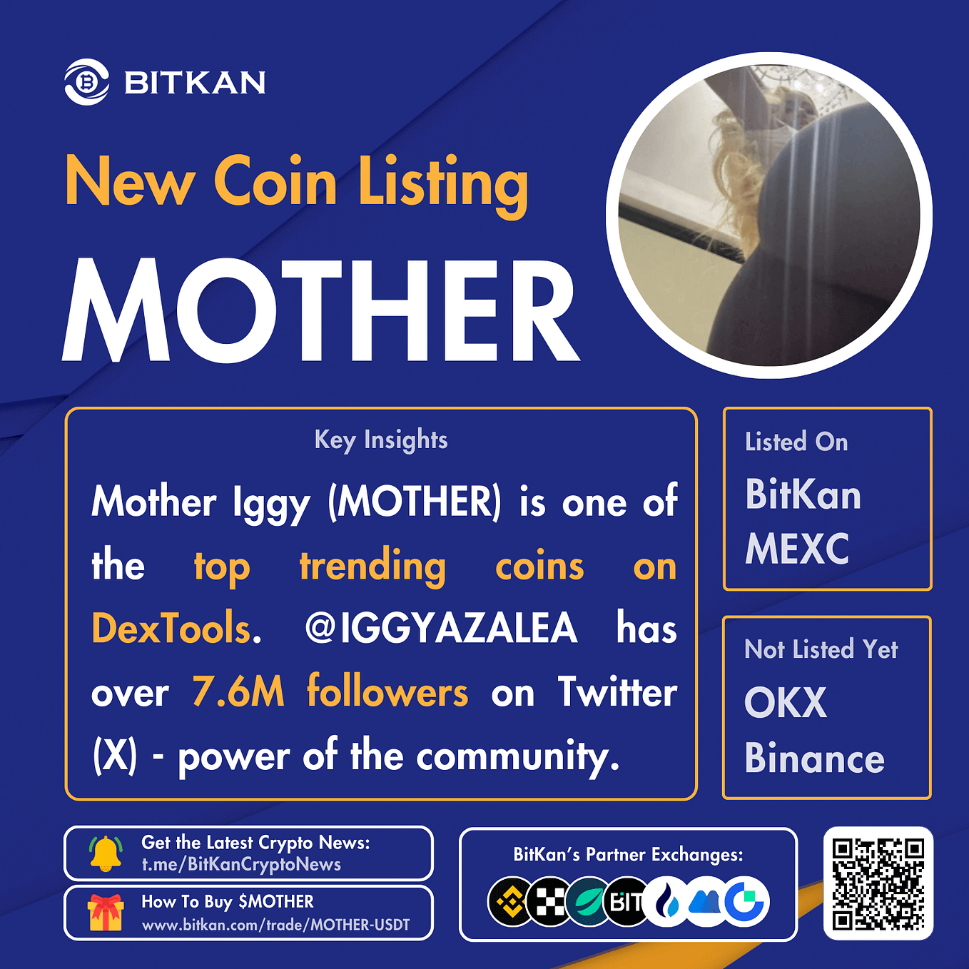 Why Is Pitbull (PIT) May Be A Hidden Gem & Why It May Rise — BitKan ...