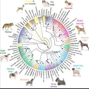 Evaluating forecast accuracy in time series with Python code example ...