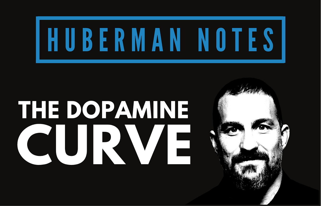 Why Write? The Cognitive Benefits of Writing | by The Huberman Notes ...
