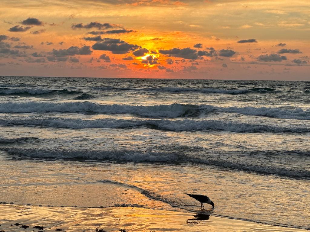 Step By Step Guide To Enabling Nvidia Gpu For Mldl Models On A Windows Machine By Lakshma