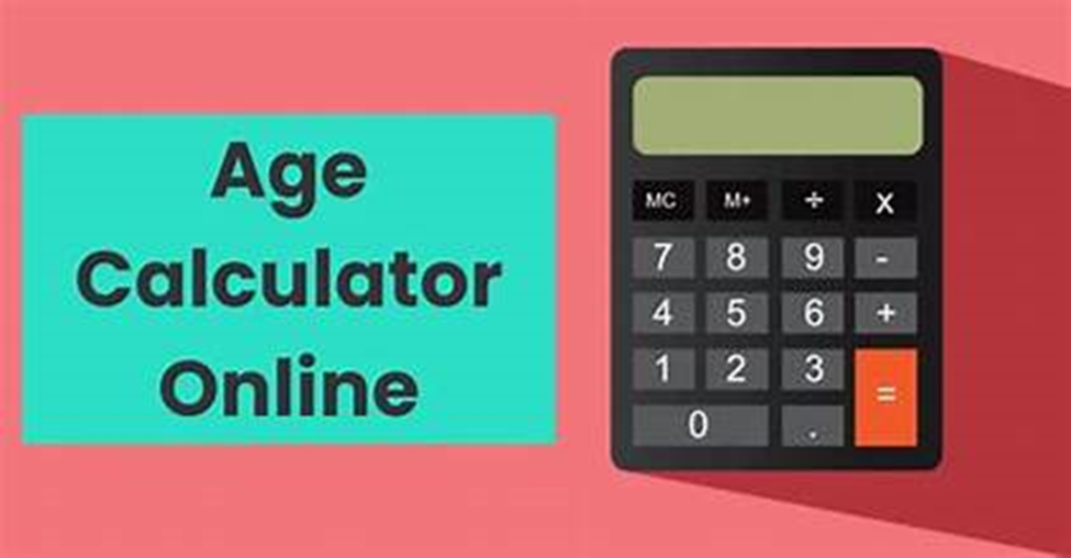 How to Use a BMI Calculator, Your Guide to Understanding and Managing ...