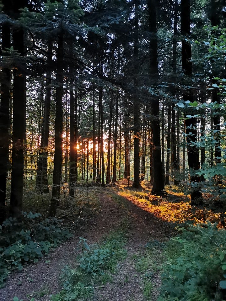 Mastering Monorepos: A (more or less) Practical Guide with npm, Lerna, and More | by Eme | Medium