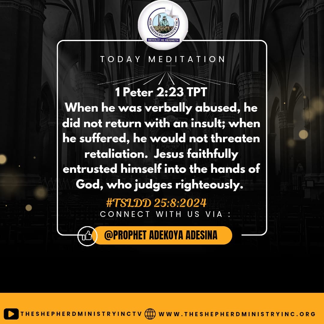 *THE SHEPHERD LIGHT DAILY DEVOTIONAL* 📖