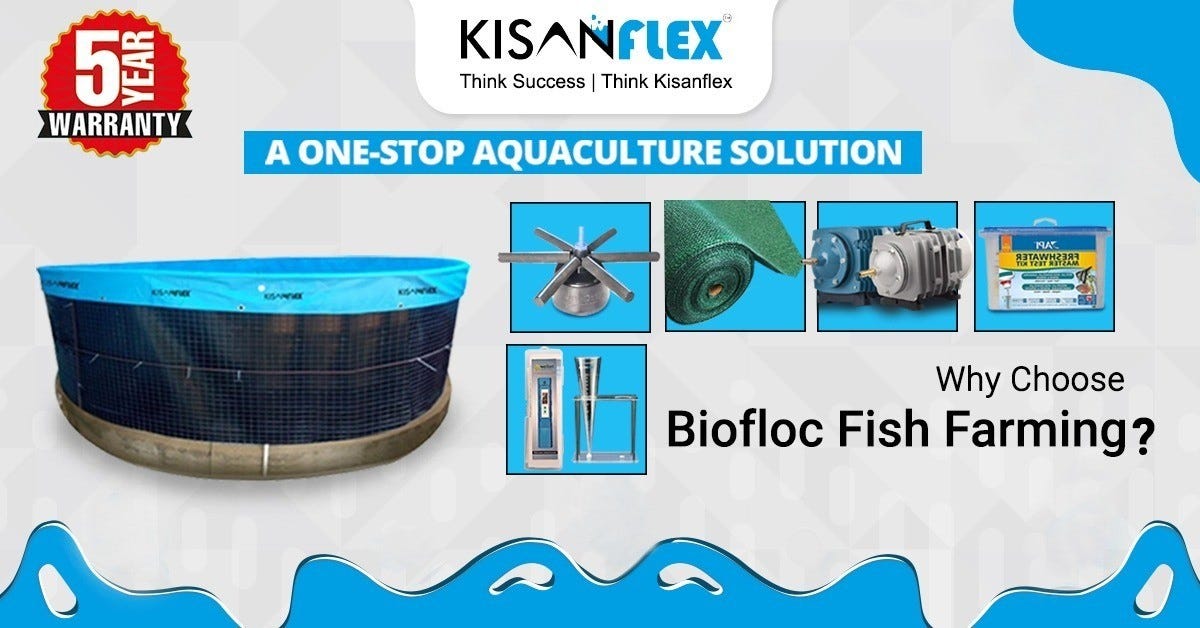Advantages & Disadvantages of Biofloc Fish Farming | by ...