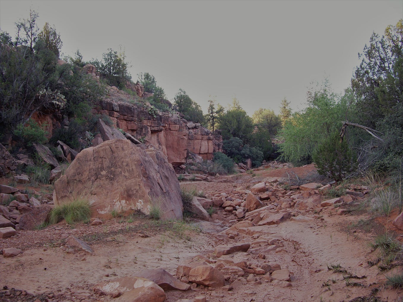 The journey of exploration. I discovered a life-changing book… | by ...