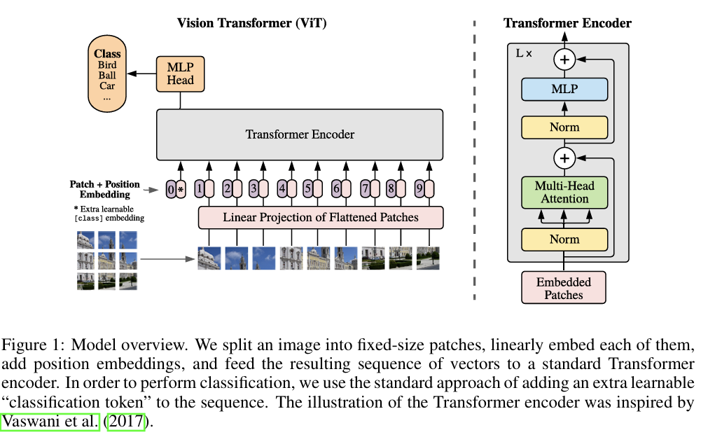 Building the DINO model from Scratch with PyTorch: Self-Supervised Vision Transformer | by Shubh ...
