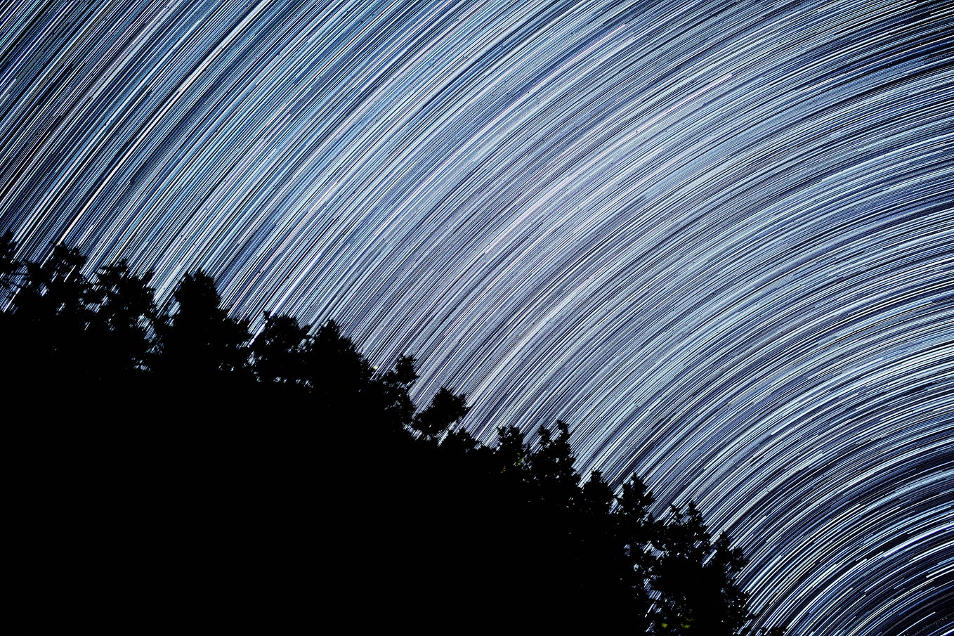 Beyond the Ego: Embracing Einstein’s Vision of Universal ...