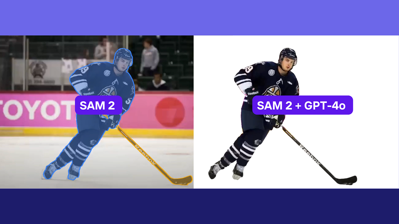 Train/Fine-Tune Segment Anything 2 (SAM 2) in 60 Lines of Code | by Sagi eppel | Towards Data ...