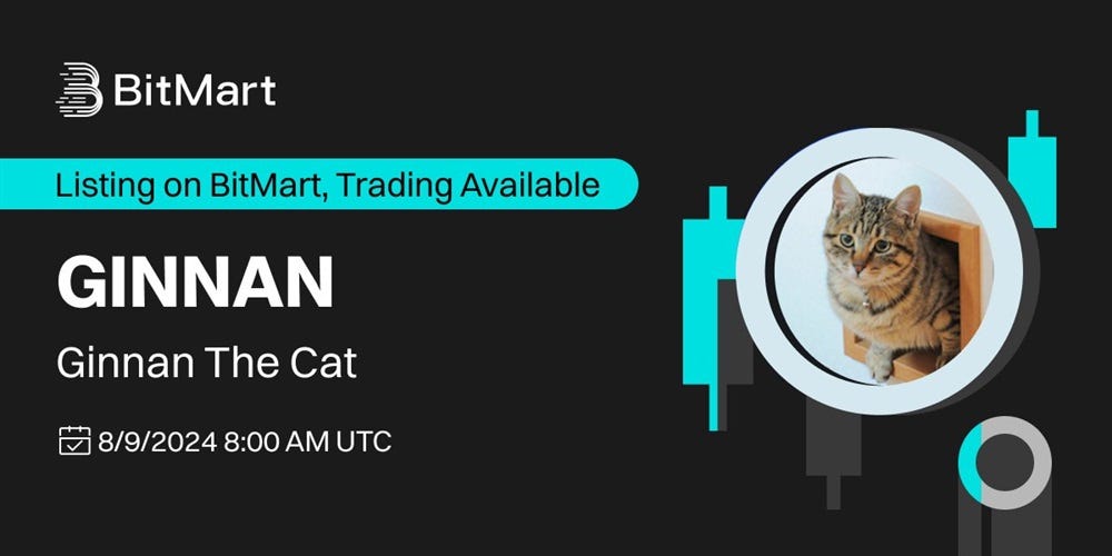 How to Stake Ginnan The Cat: Navigate with Confidence | by Ginnan The ...