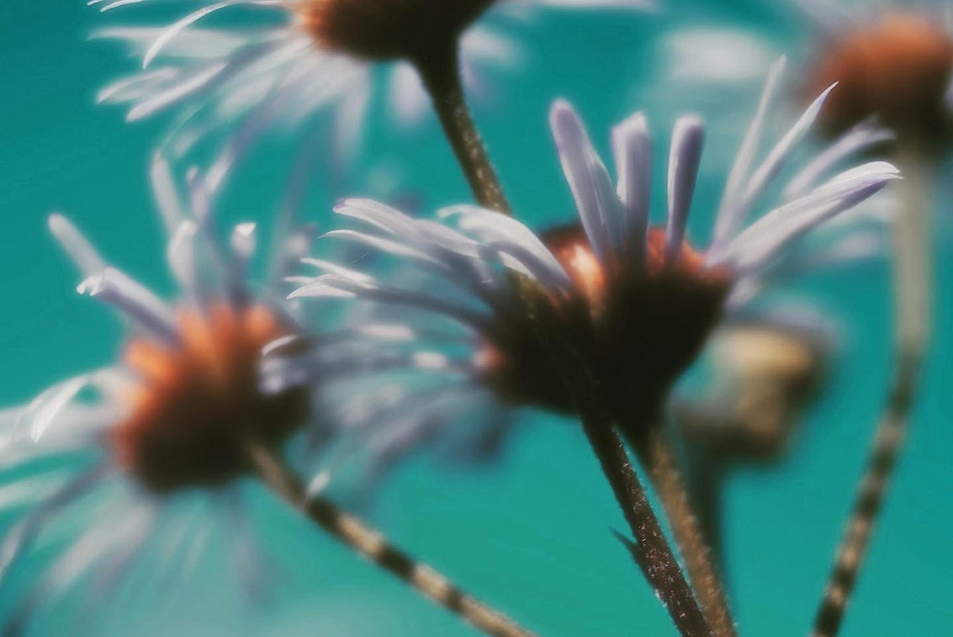 Hún — The Ethereal Soul — [魂] — The Five Shen [Part I] | by Sage Blue ...