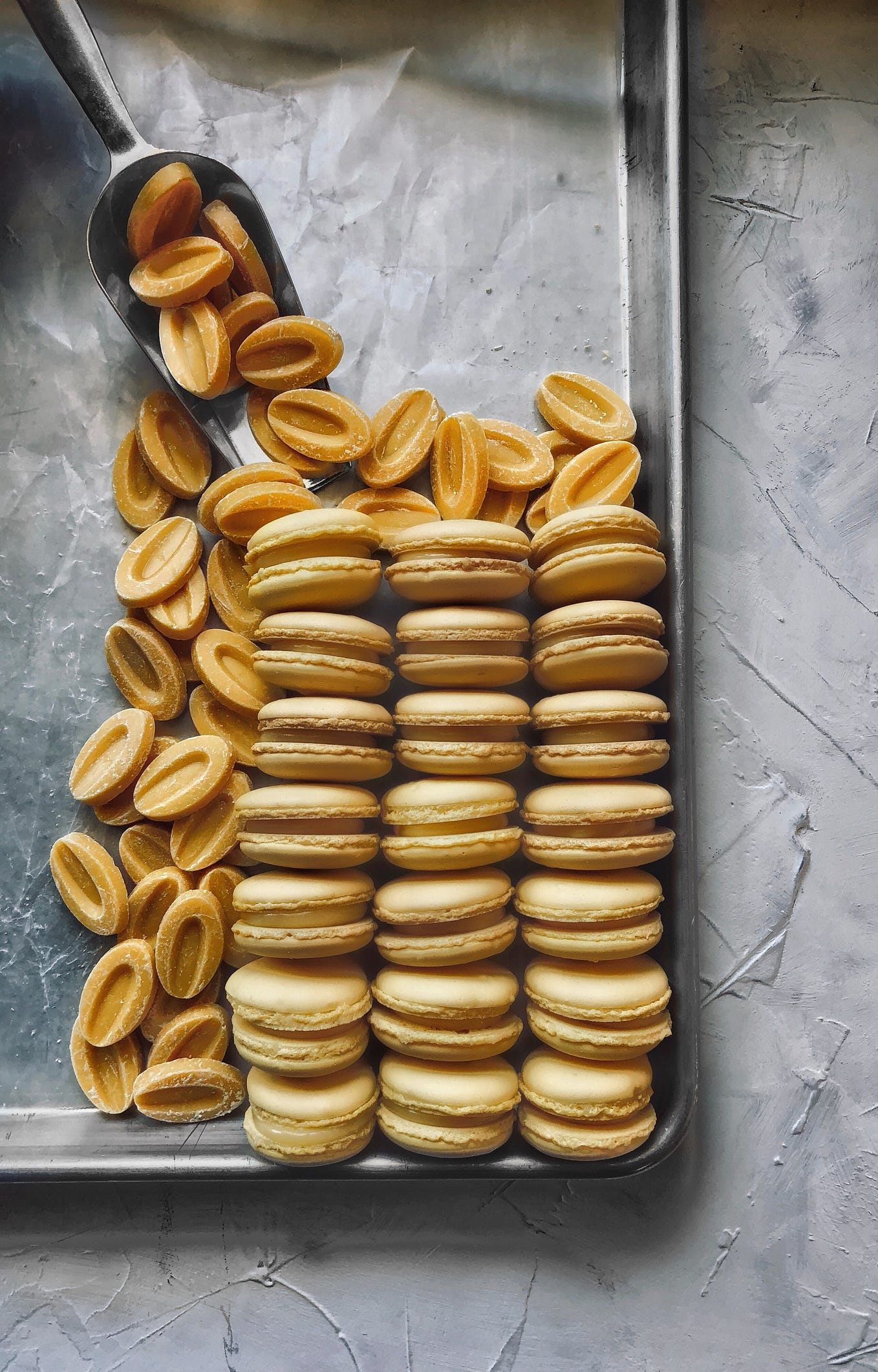 How to Make: Caramelized Hazelnut Carrot Cake | by Scott ...