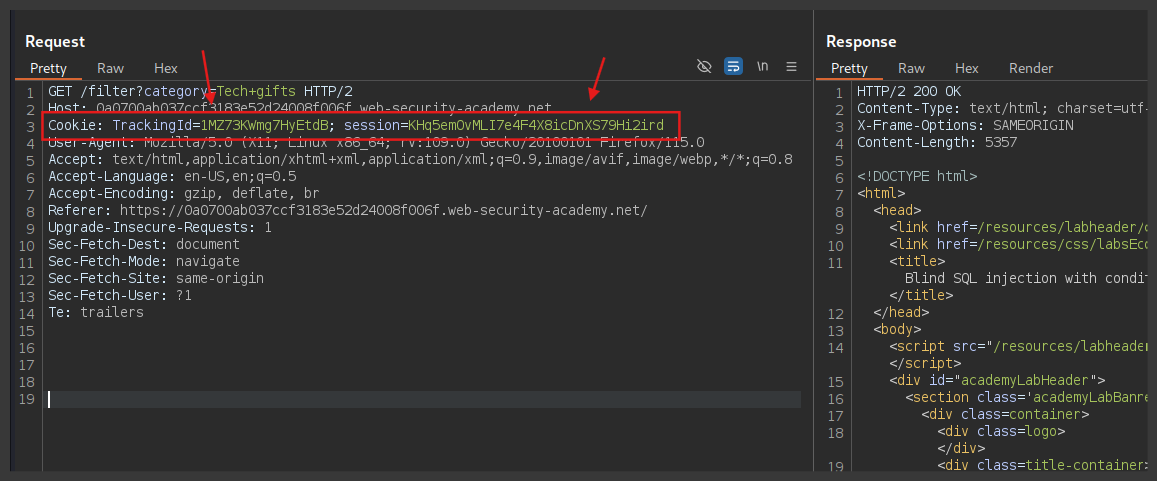 Exploiting Blind Command Injection Output Redirection By Kaizen 6604