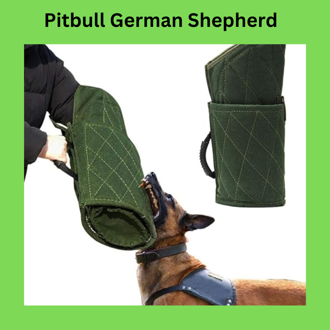 Dog chain link kennel. Comprehensive Review of Dog Chain Link… | by ...
