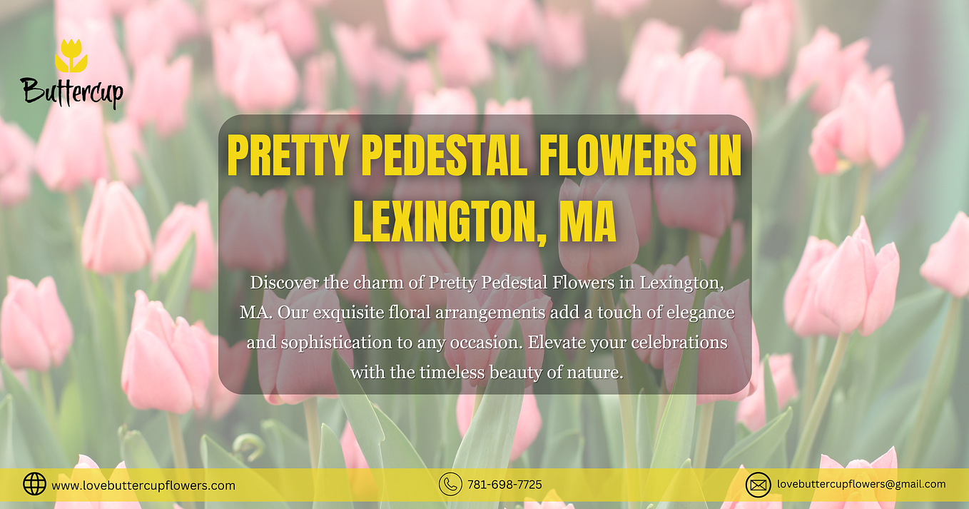 Orchid Delight Flowers in Lexington and Burlington, MA | by Love Butter ...
