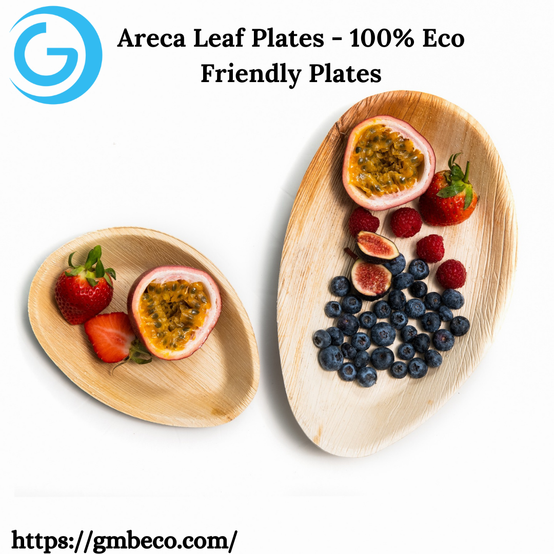 Areca Leaf Plates - Remzyjonson - Medium