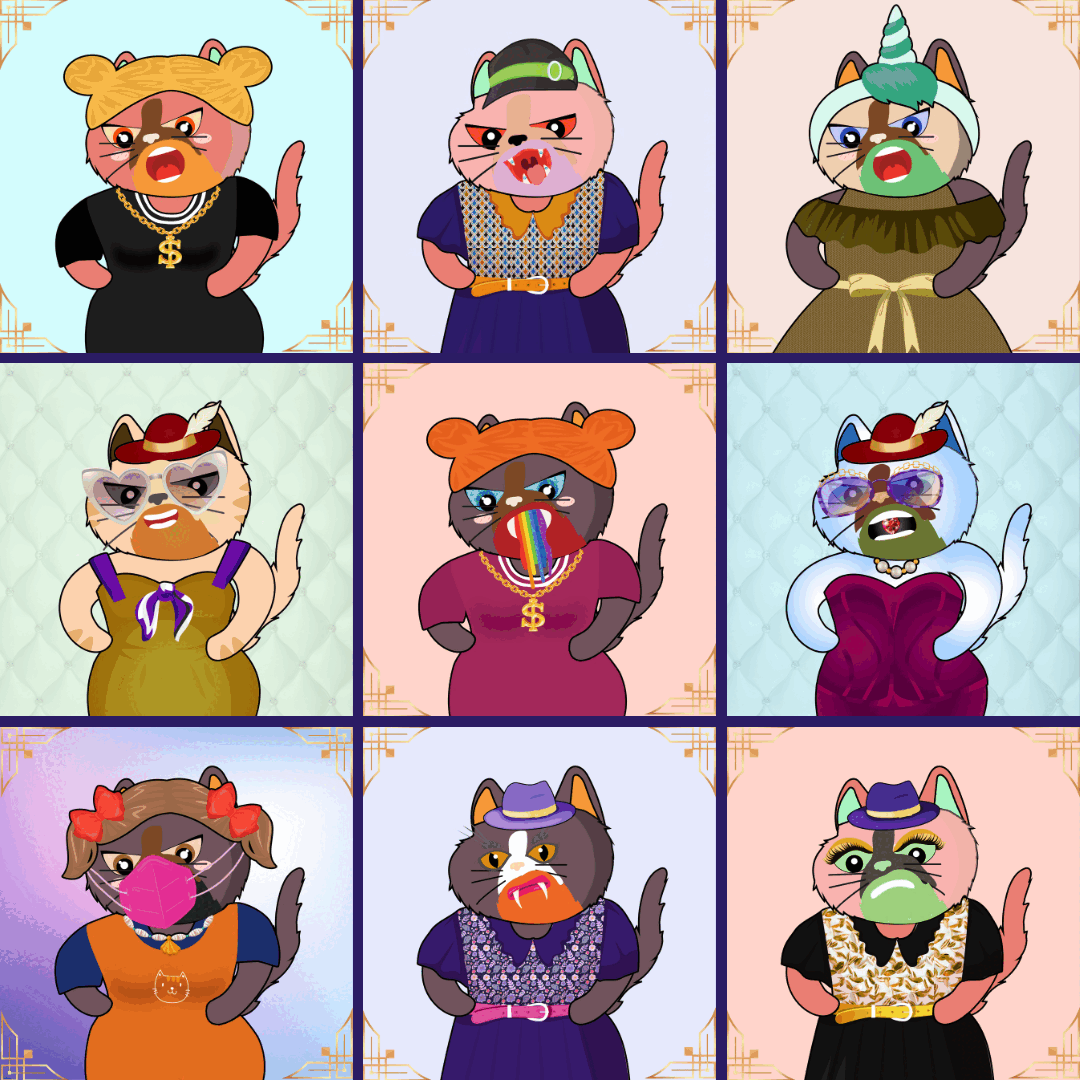Classy Cats NFT: Meet the People Behind it | by Floryselle Lafradez ...