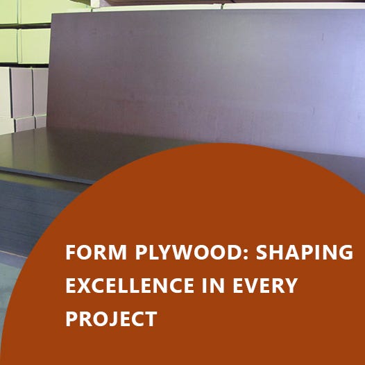 How Baltic Birch Plywood Leads the Way for Sustainable Woodworking | by ...