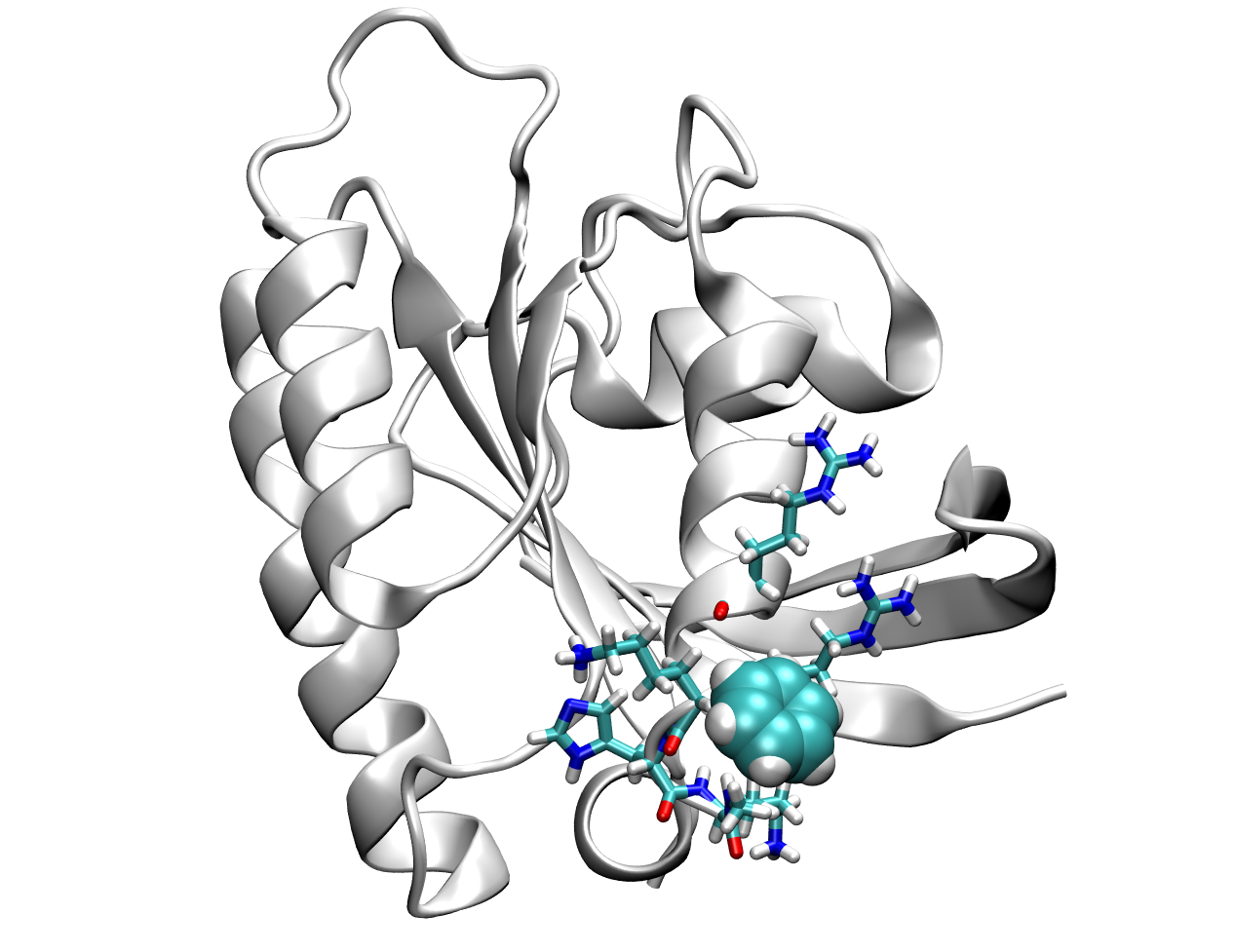 PlayMolecule® AceDock: Protein-ligand docking and virtual screening [TUTORIAL] | by Alejandro ...