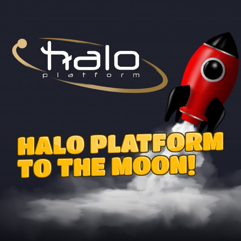 ☄️☄️Halo Platform has announced a new campaign on Telegram. | by marga ...