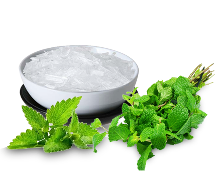 How does mint affect the brain?. Peppermint in many forms such as tea ...