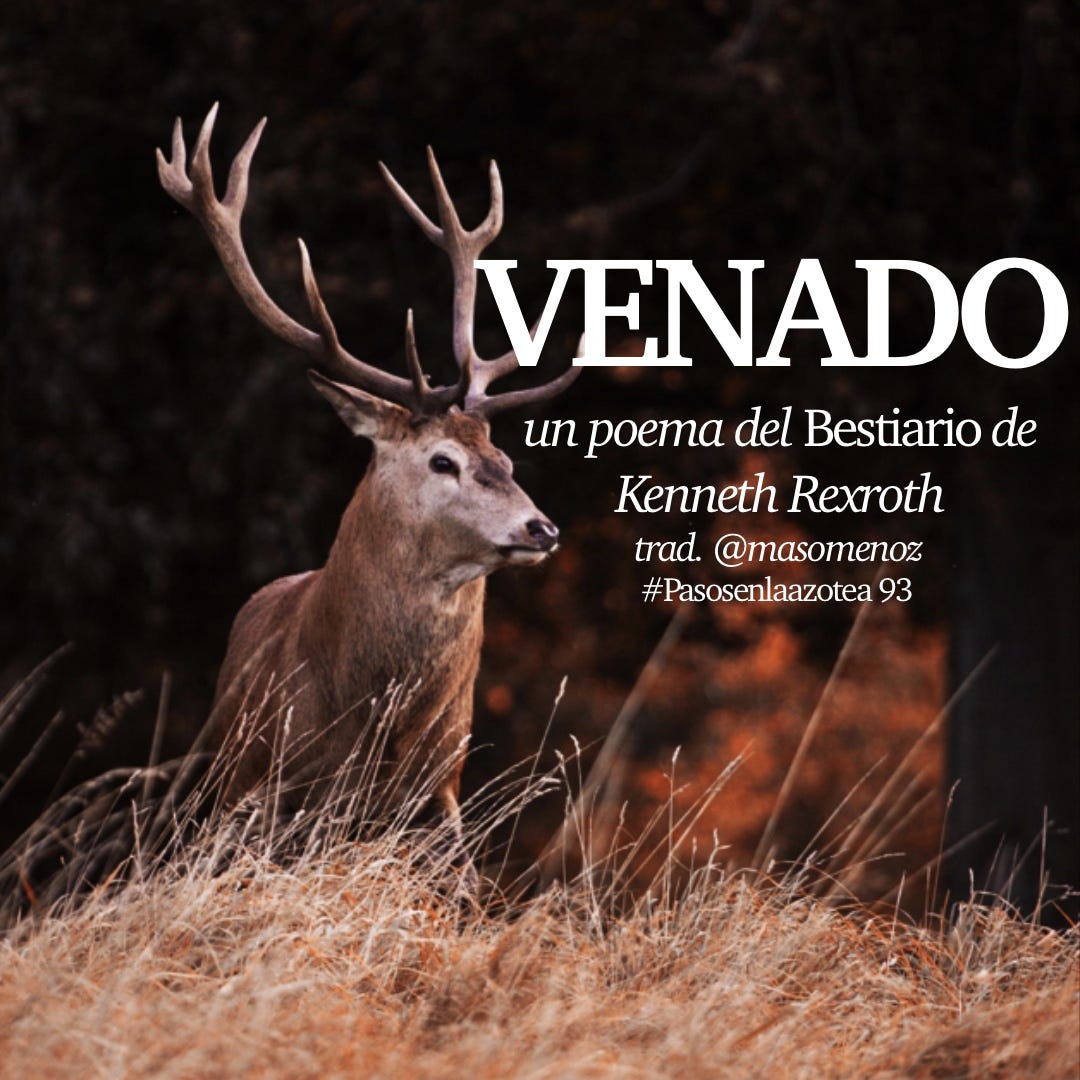 Tlacuache, un poema del Bestiario de Kenneth Rexroth, trad. Javier ...