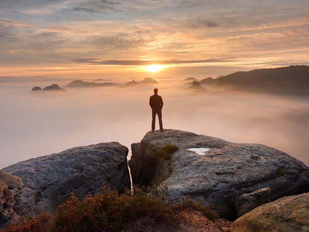 How Would the World Look Without Humans? | by Christopher Alarcon | Medium