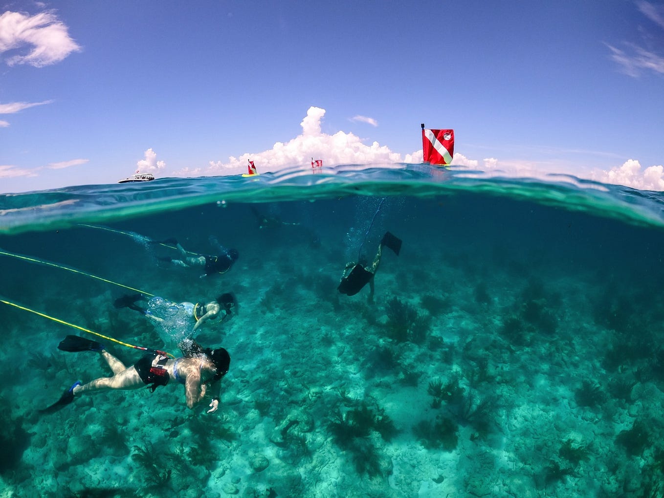 Scuba Diving Participation Rate & Statistics | by Darcy Kieran ...