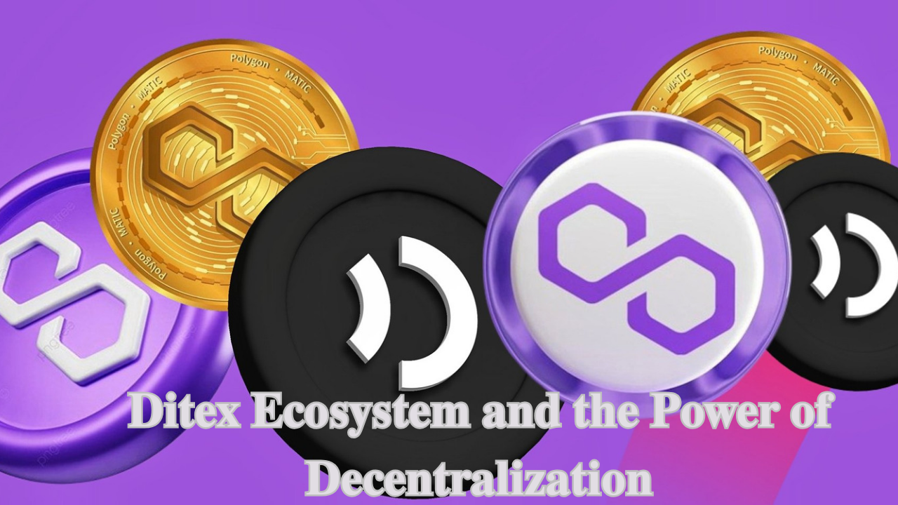 Exciting Times Ahead: DITEX Ecosystem Launches Main Product | by ...
