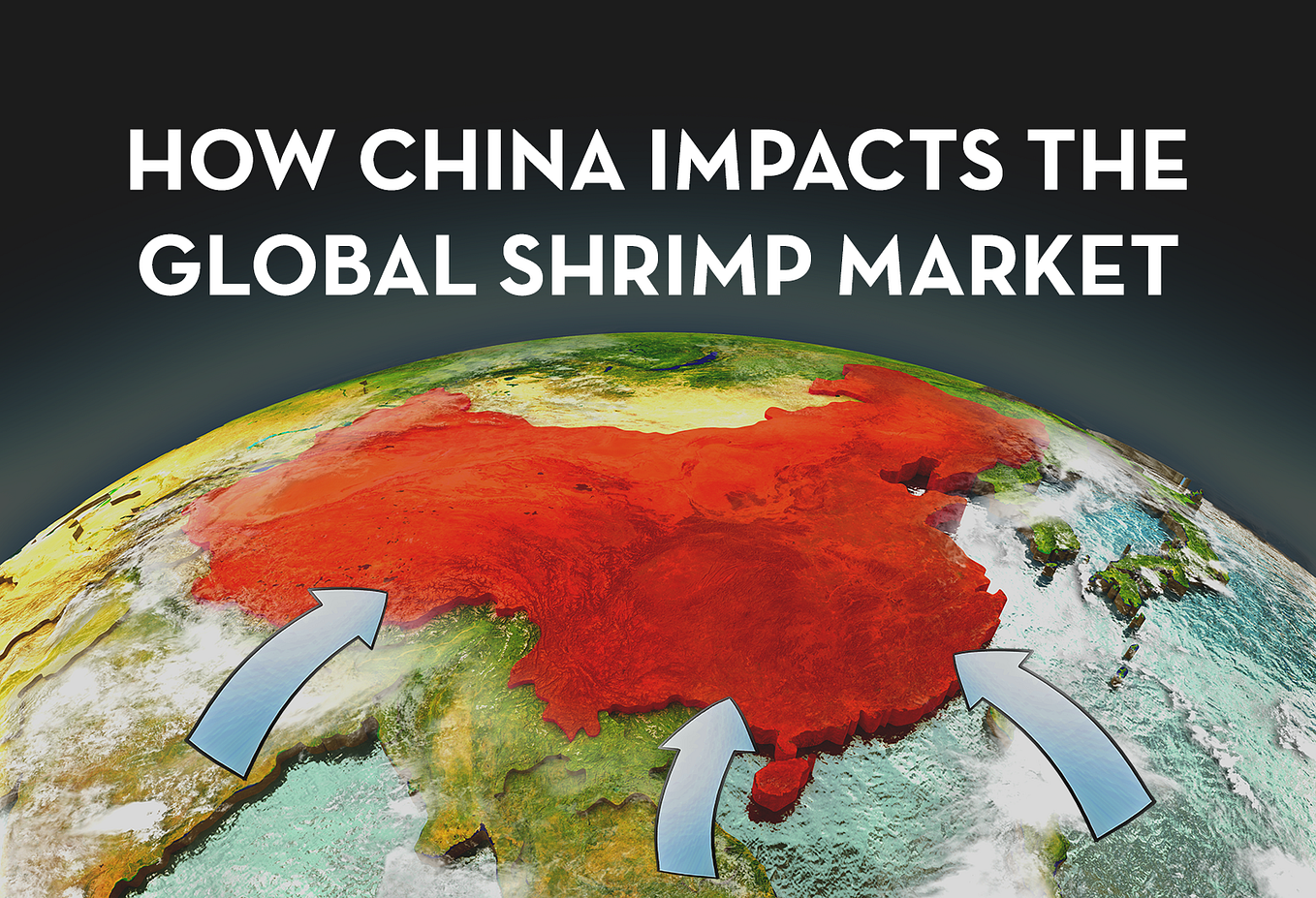 4 Best Countries to Get Your Farmed Shrimp | by Rubicon Resources ...