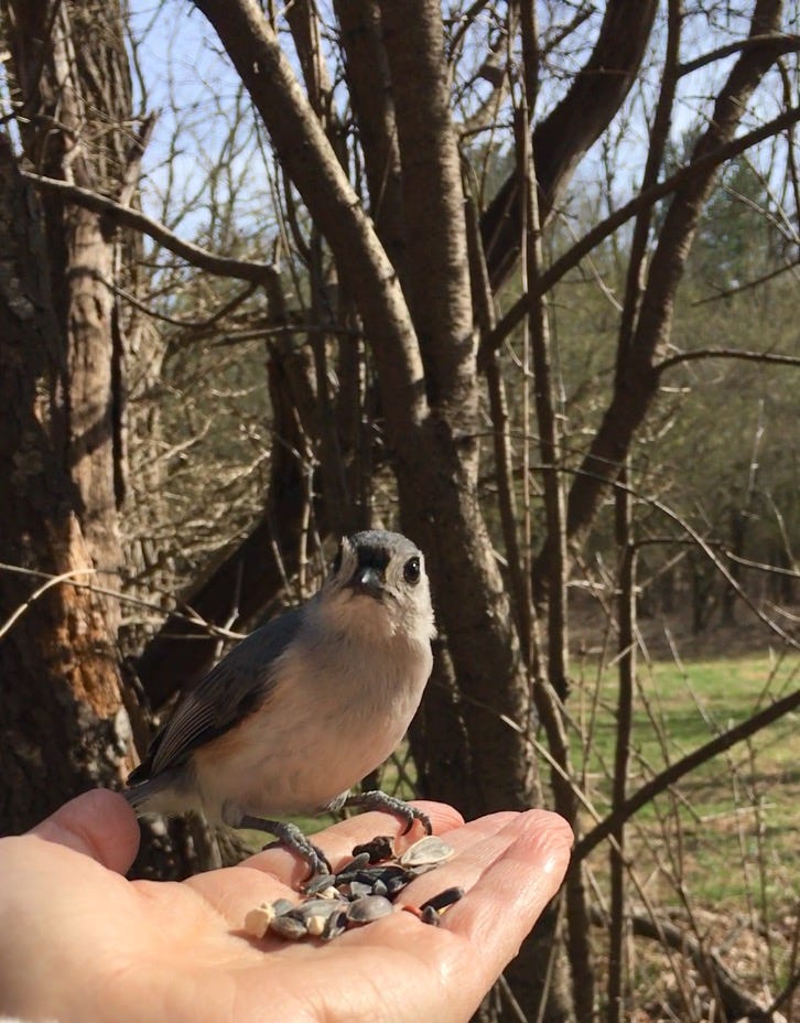 The moment I read this passage, it became apparent that I knew there ...