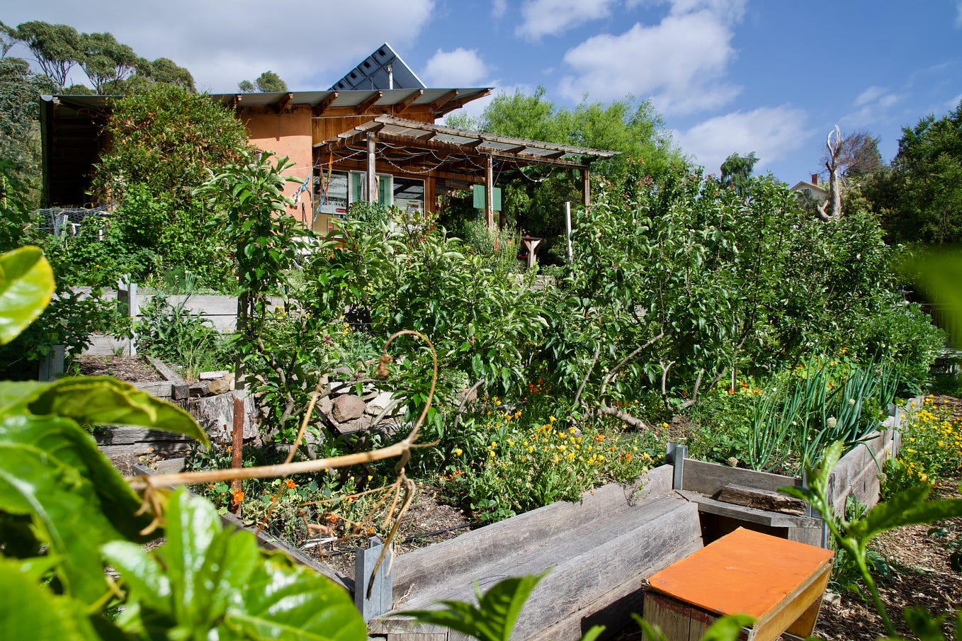 Community gardens: a placemaker’s approach to design | by Russ Grayson ...