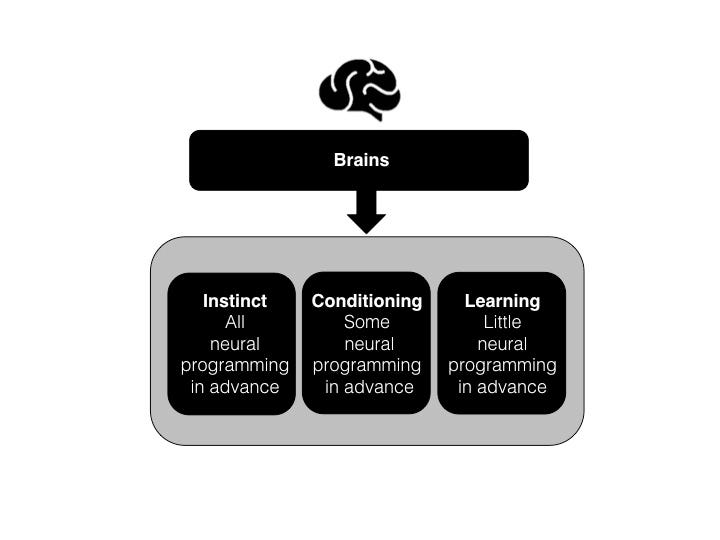Explaining the Mind. Did someone say picture-book? | by Dr Pascal Saker ...