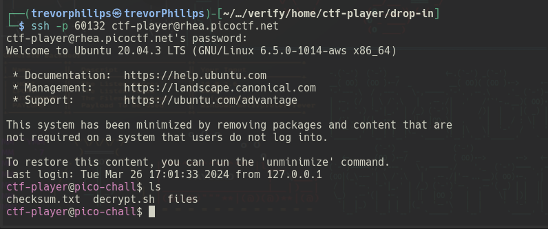 PicoCTF 2024 — endianness-v2. Forensic Category Challenge… | by Shreethaar | Medium