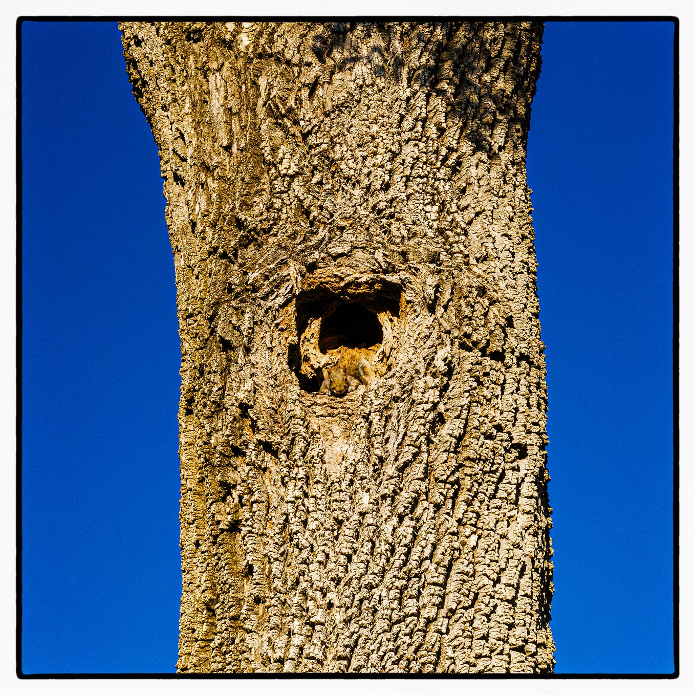 Top 10 German Seafood Dishes. German cuisine is known for its… | by ...