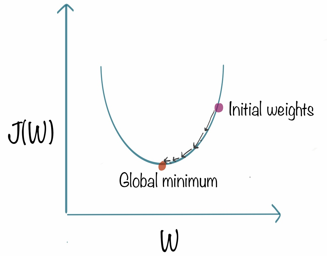 “Understanding the Power of Gradient Descent Variants: BGD, SGD, and ...