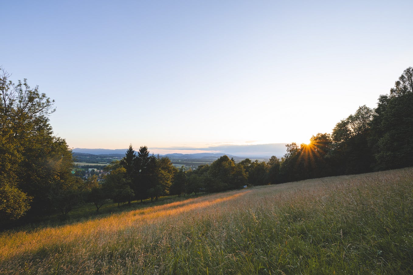 Enjoy a walk in nature!. How to increase the pleasure of walking… | by ...