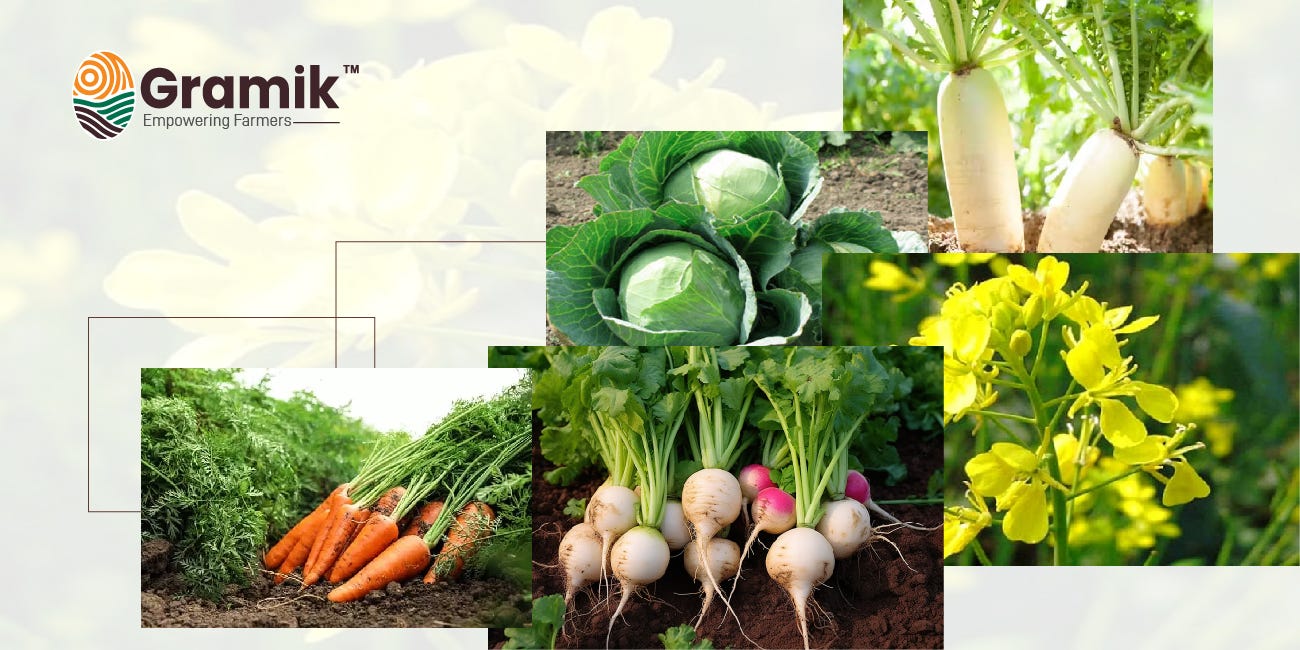 Gramik: Your One-Stop Agri Seed Online Buying Destination | by Gramik ...