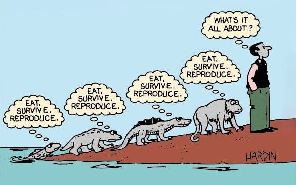 Cantera: Empowering Scientific Discovery with Open-Source Chemical ...