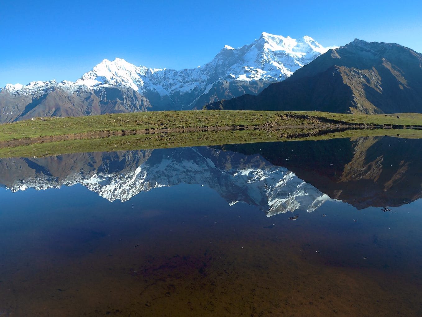 The Story of Molai Forest. You and I have seen many places turning ...