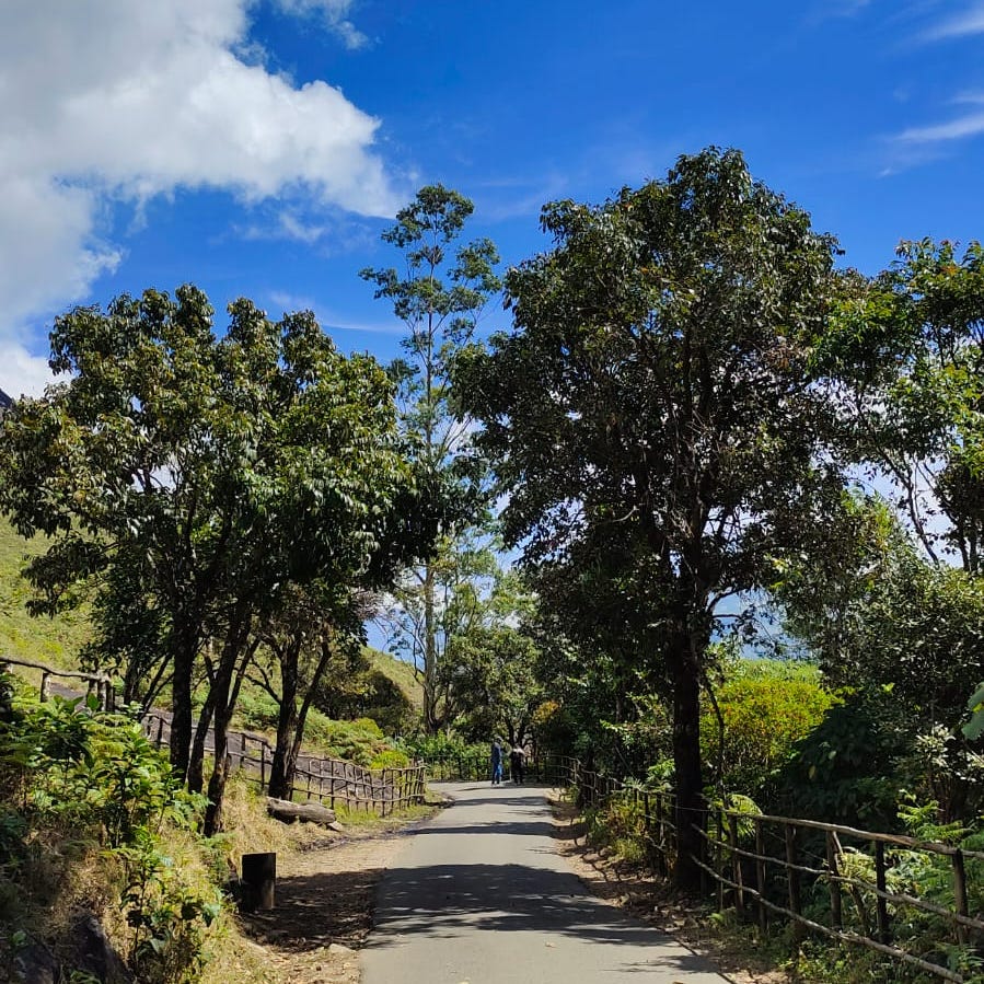 Happy Anniversary to Me!. A Year in the Silicon Valley of India. | by ...