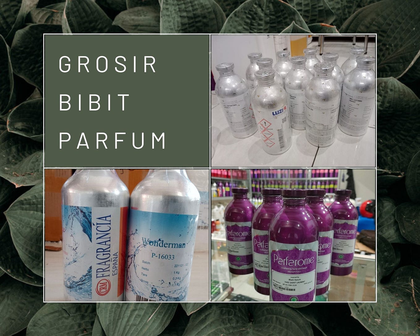 WA 0856–4640–4349 Grosir Bibit Parfum Purbalingga ...