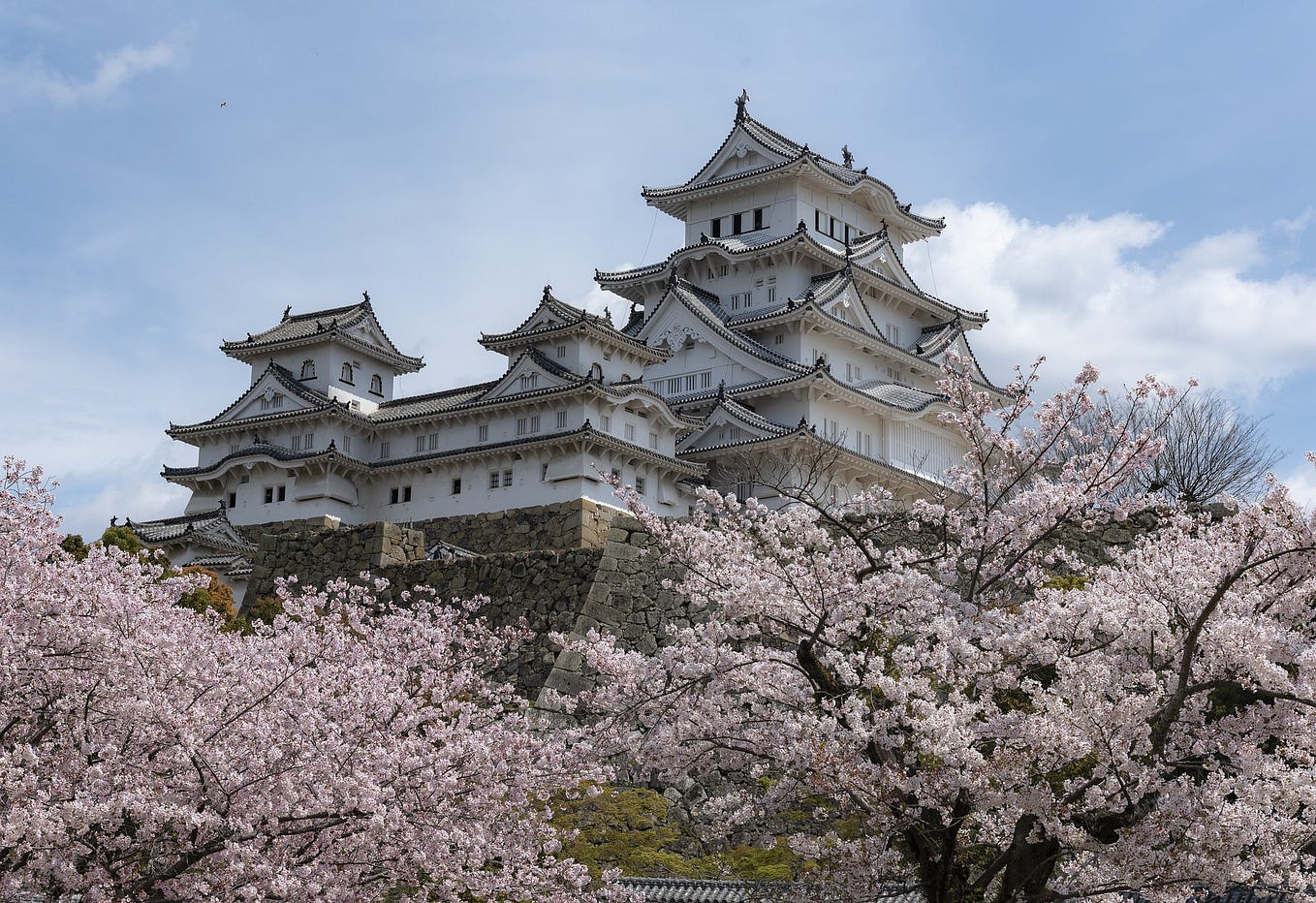 Japan Visa For Canadians Everything You Need To Know By Evisa Japan japan-visa-for-canadians-everything-you-need-to-know-by-evisa-japan